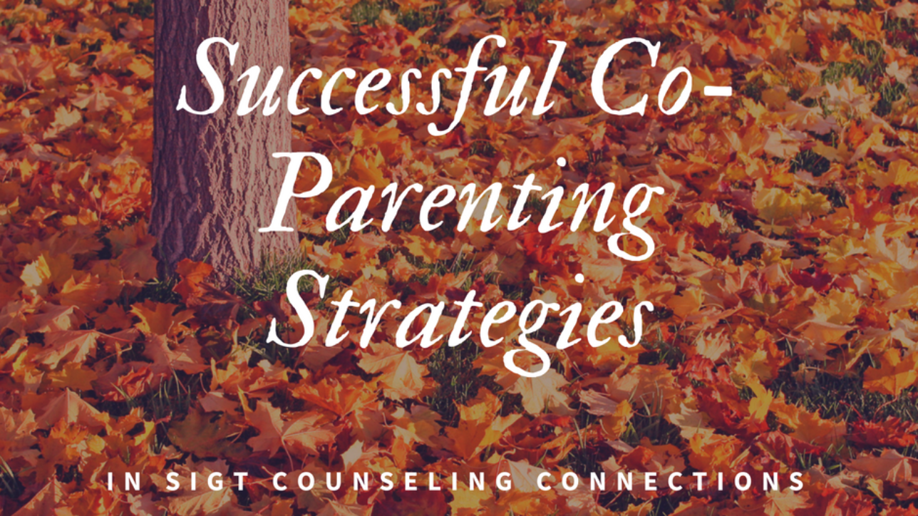 Successful Co-Parenting Strategies | In Sight Counseling Connections